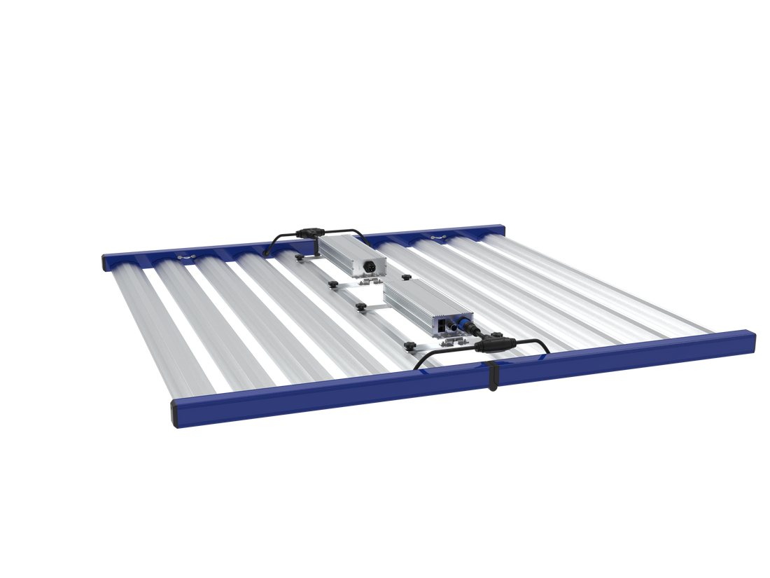 Tarantula Explorer – Grand Master LEDs USA