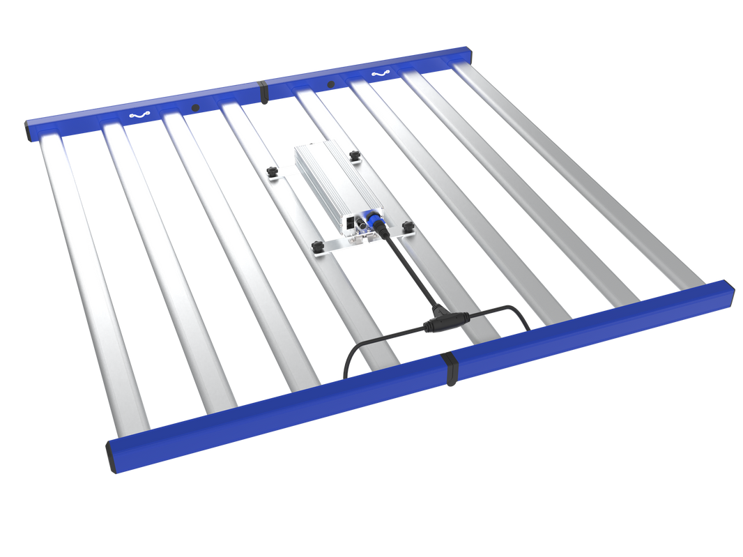 Grand Master LEDs – Grand Master LEDs USA