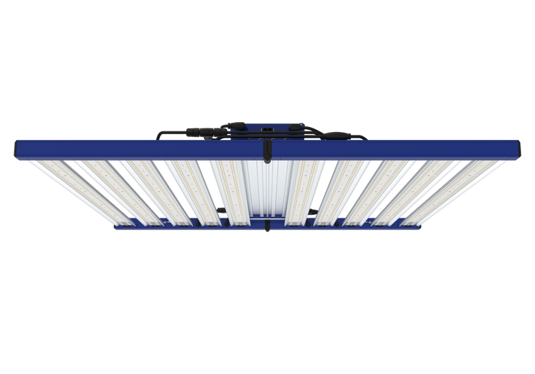 Tarantula Borg Evolution- Grand Master LEDs – Grand Master LEDs USA