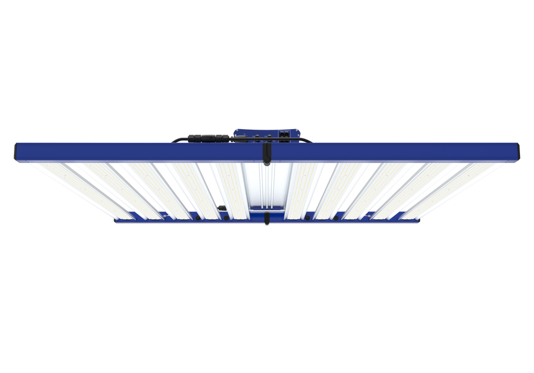 All Products – Grand Master LEDs USA