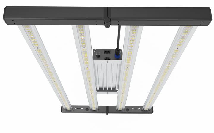 Master Series – Grand Master LEDs USA