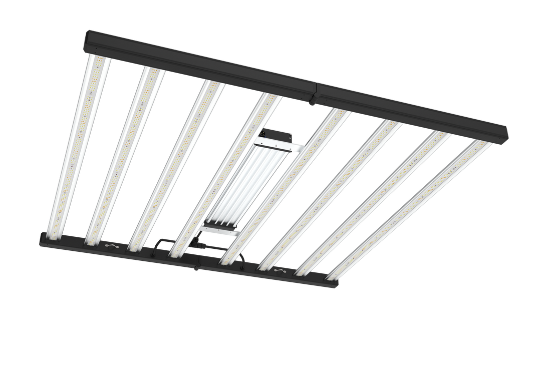 Grand Master LEDs – Grand Master LEDs USA