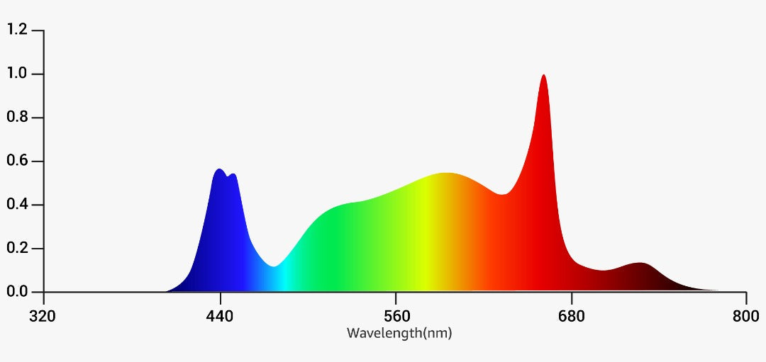 Grand Master LEDs – Grand Master LEDs USA